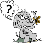 English Questions - Ask Ellie - FAQs